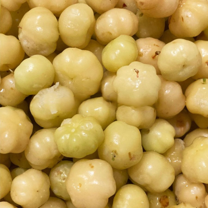 5 graines Phyllanthus acidus (surelier, girembellier, surette ...