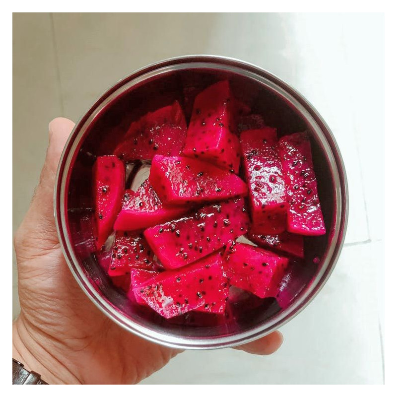 10 graines de Pitaya sanguin du Costa Rica (Selenicereus ou Hylocereus ...